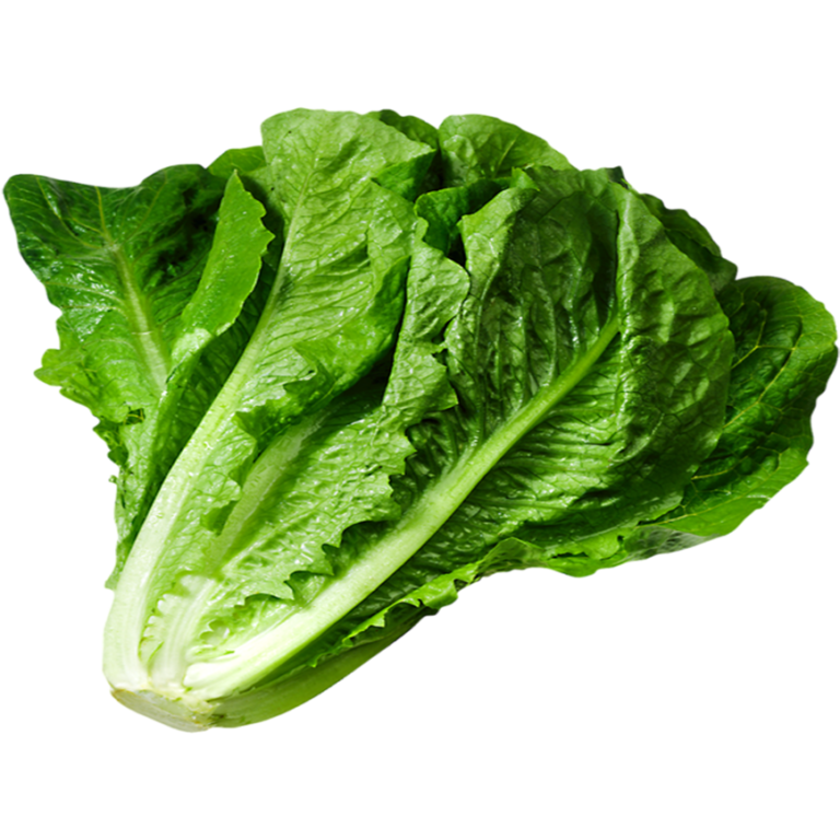 Romaine Hearts Lettuce – Capital Produce of Virginia